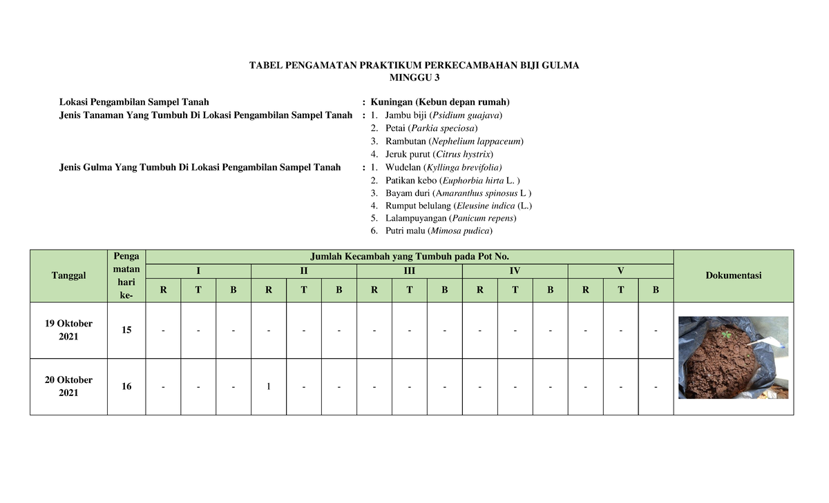 Tabel Pengamatan Praktikum Perkecambahan Biji Gulma - TABEL PENGAMATAN ...