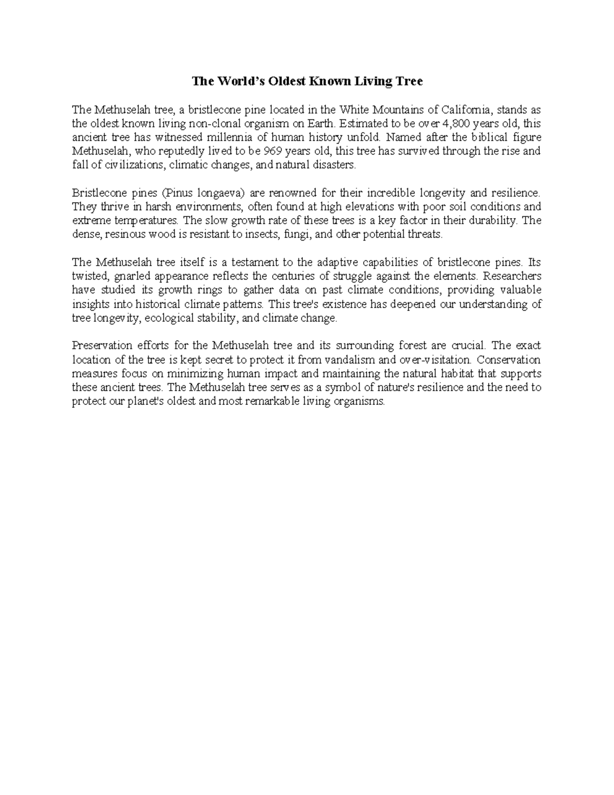 The oldest living tree - The World’s Oldest Known Living Tree The ...