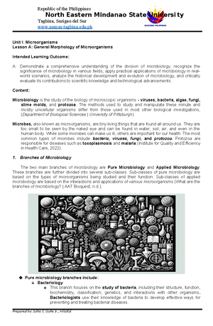 Sample Chapter 4 and 5 - Chapter 4 Presentation, Analysis, and ...