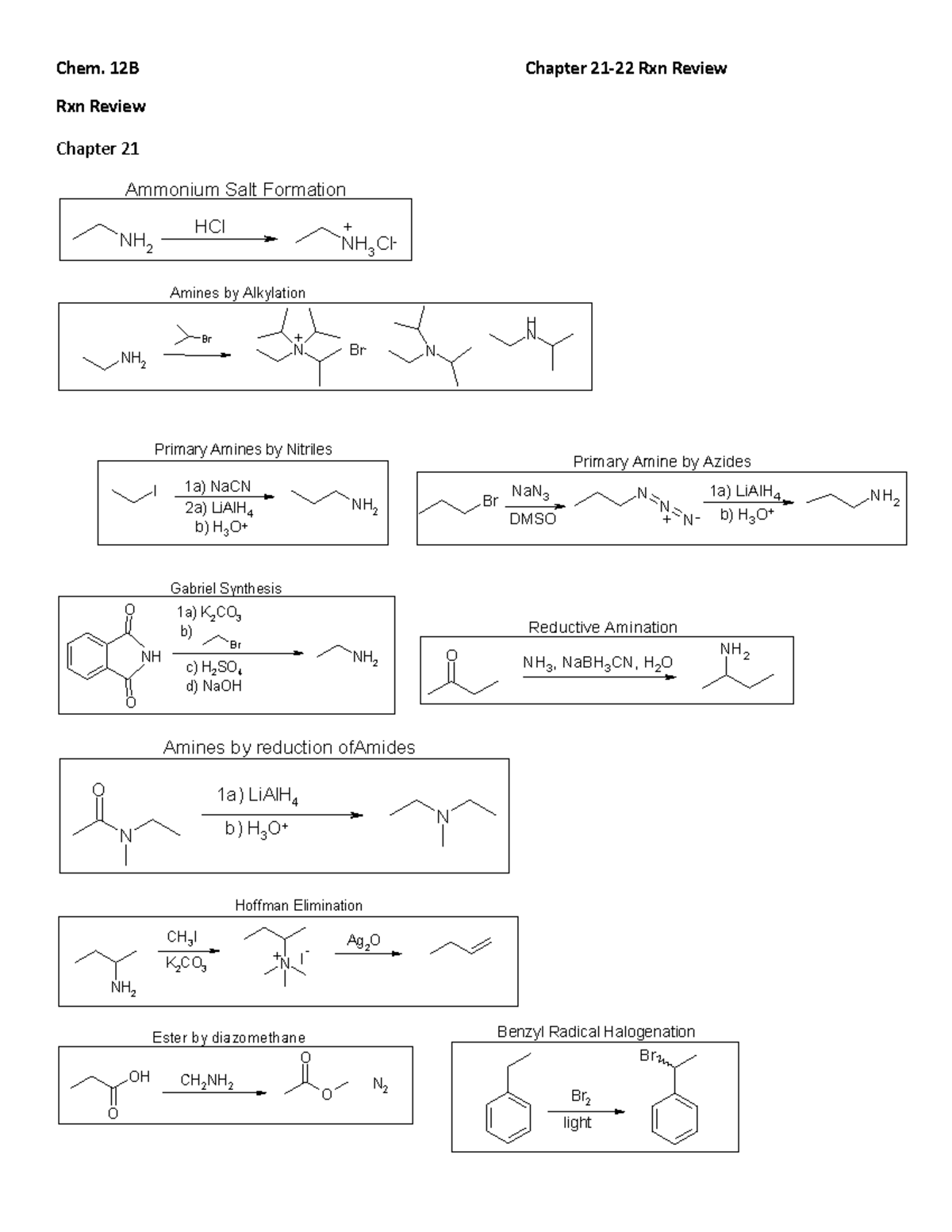 Chap - Chapters 21-22 practice reactions - O NH 2 NH 3 , NaBH 3 CN, H 2 ...