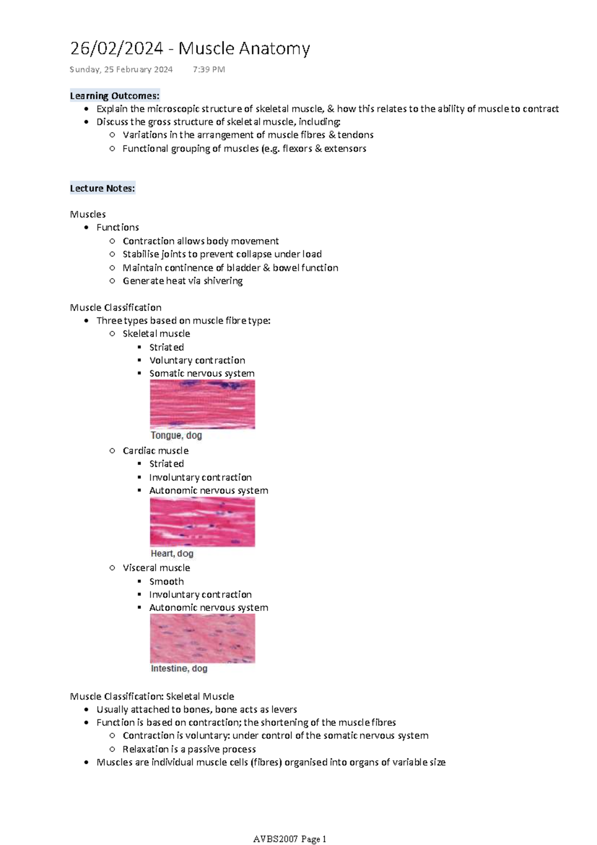 Muscle Anatomy - Learning Outcomes: - Explain the microscopic structure ...