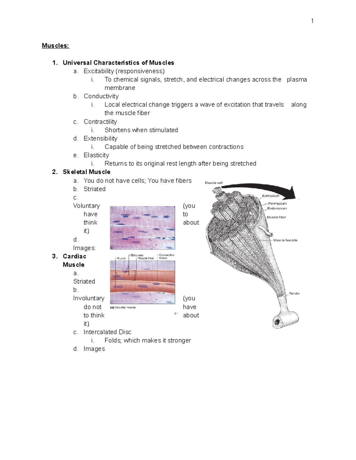 Muscles - Lecture notes 8 - 1 Muscles: 1. Universal Characteristics of ...