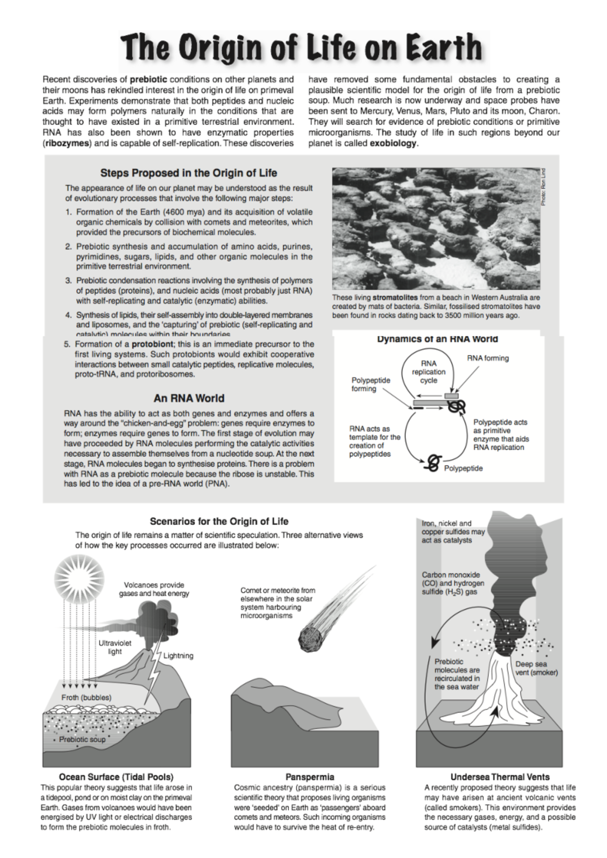 LIFE Since IT First Appeared ON THE Earth - Studocu