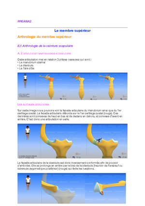 TD1 Anatomie staps - Warning: TT: undefined function: 32 I/ Généralités A. Position anatomique ...