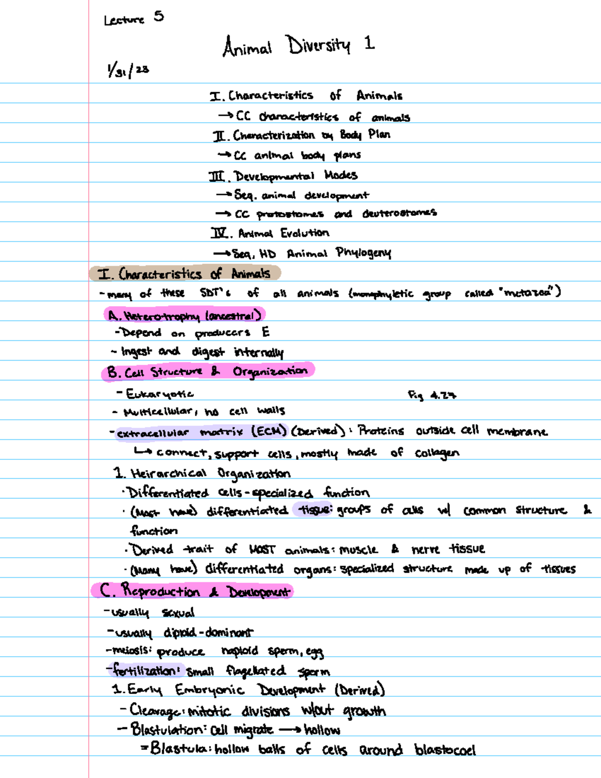 Animal Diversity 1 - ####### Lecture 5 431 23 Animal Diversity 1 I ...