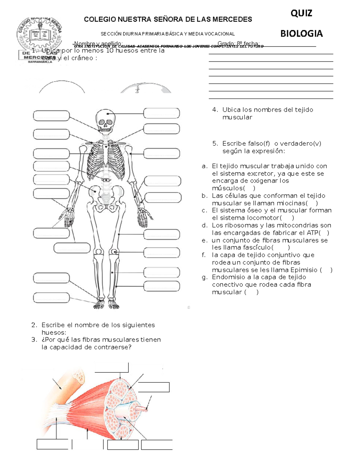 evaluación del sistema oseo y muscular - Nombre y apellido ...
