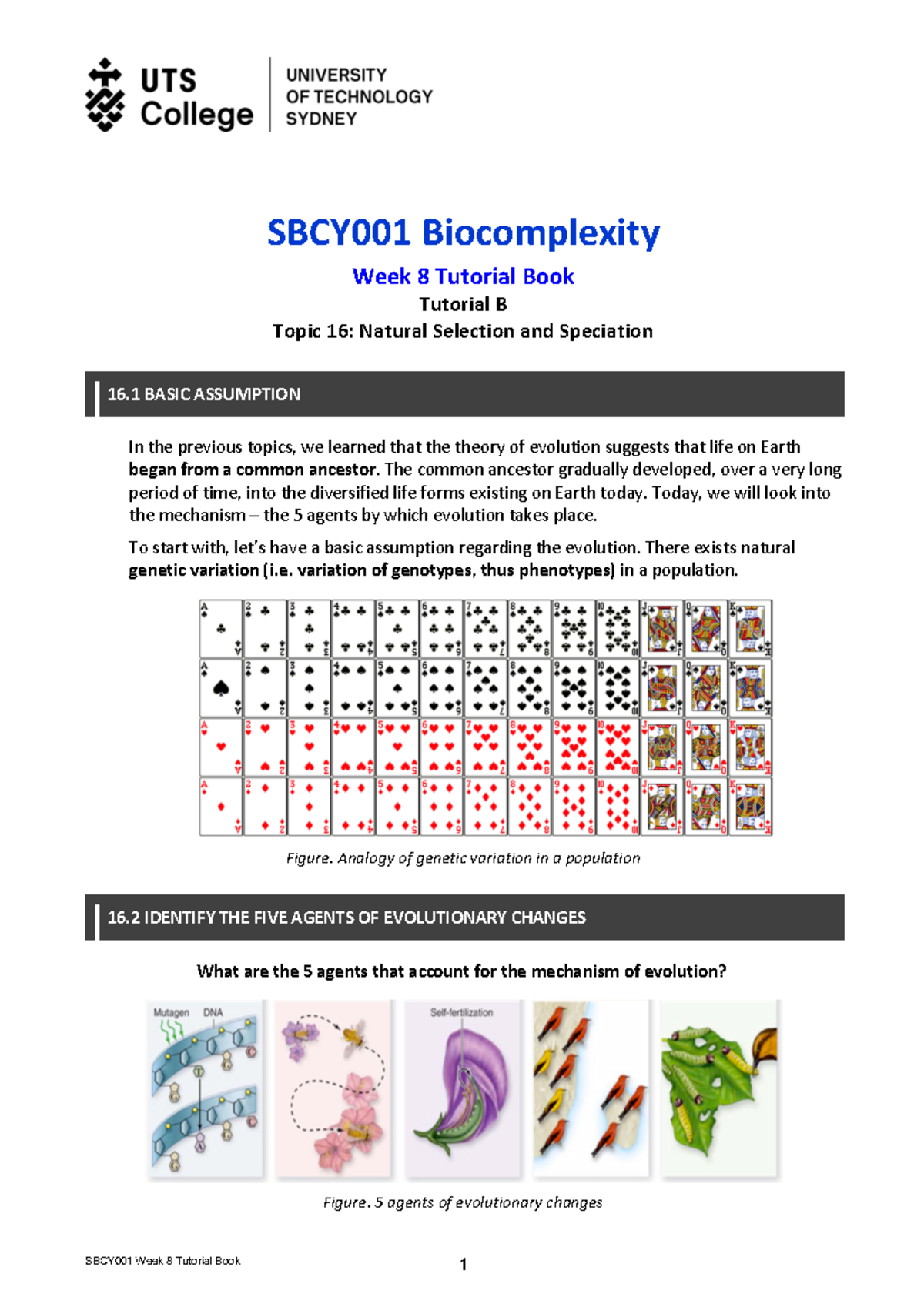 Biocomplexity week 8 tut book - SBCY001 Biocomplexity Week 8 Tutorial Book Tutorial B Topic 16 ...