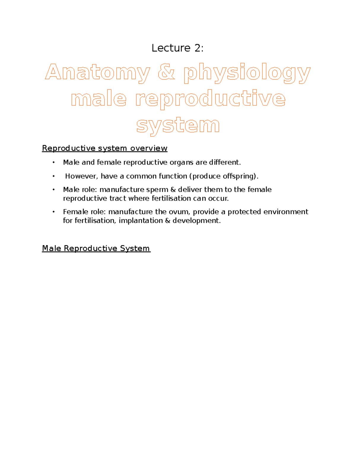 Lecture 3 Lecture 2 Anatomy And Physiology Male Reproductive System
