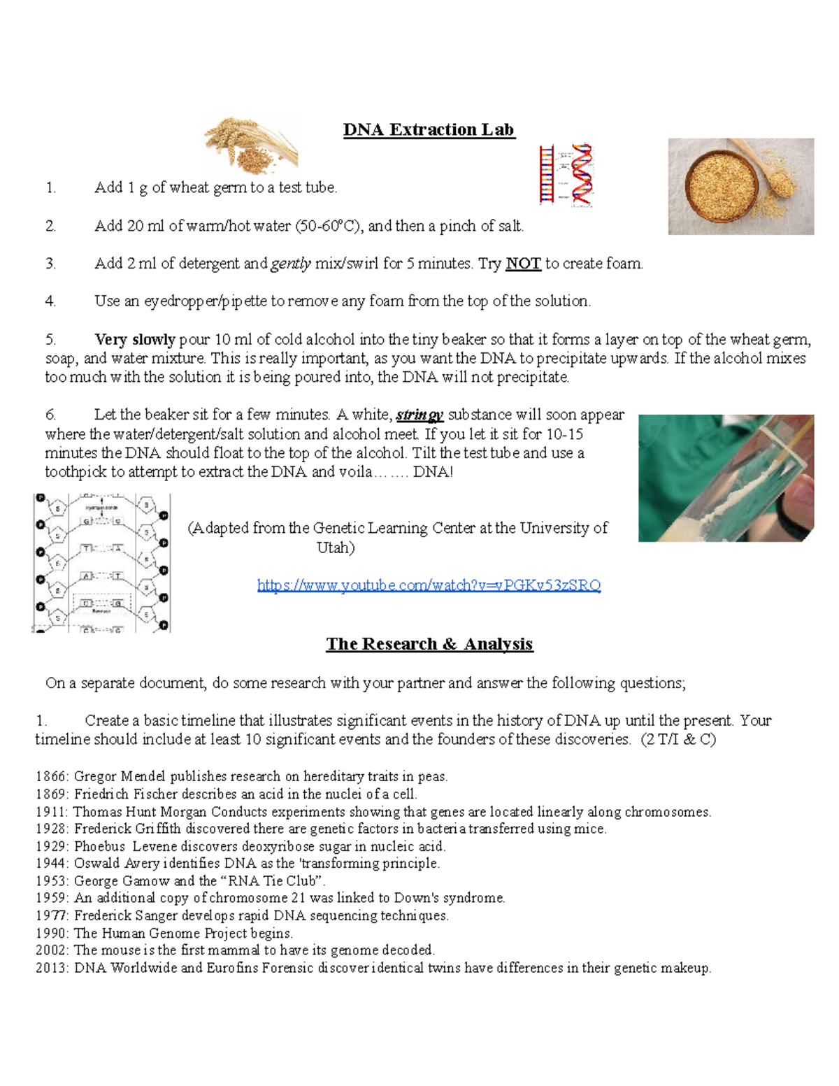 1-DNA Extraction Lab - DNA Extraction Lab Add 1 g of wheat germ to a ...