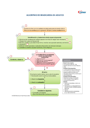 ACLS - ACLS - Urgencias y Emergencias Algoritmo de paro cardiaco en ...