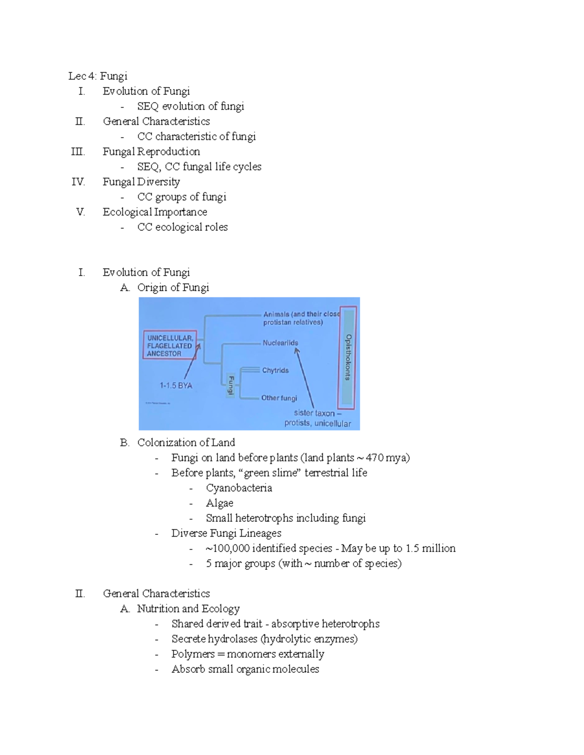 Lec 4 Fungi - Lecture 4 - Lec 4: Fungi I. Evolution of Fungi - SEQ ...