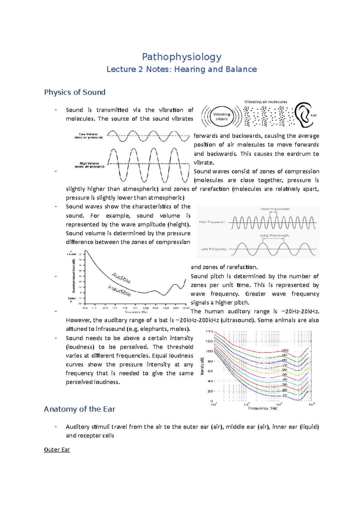Lecture 2 Notes (Hearing and Balance) - Pathophysiology Lecture 2 Notes ...