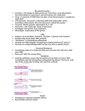 [Solved] Which enzyme is required by ssRNA viruses for their ...