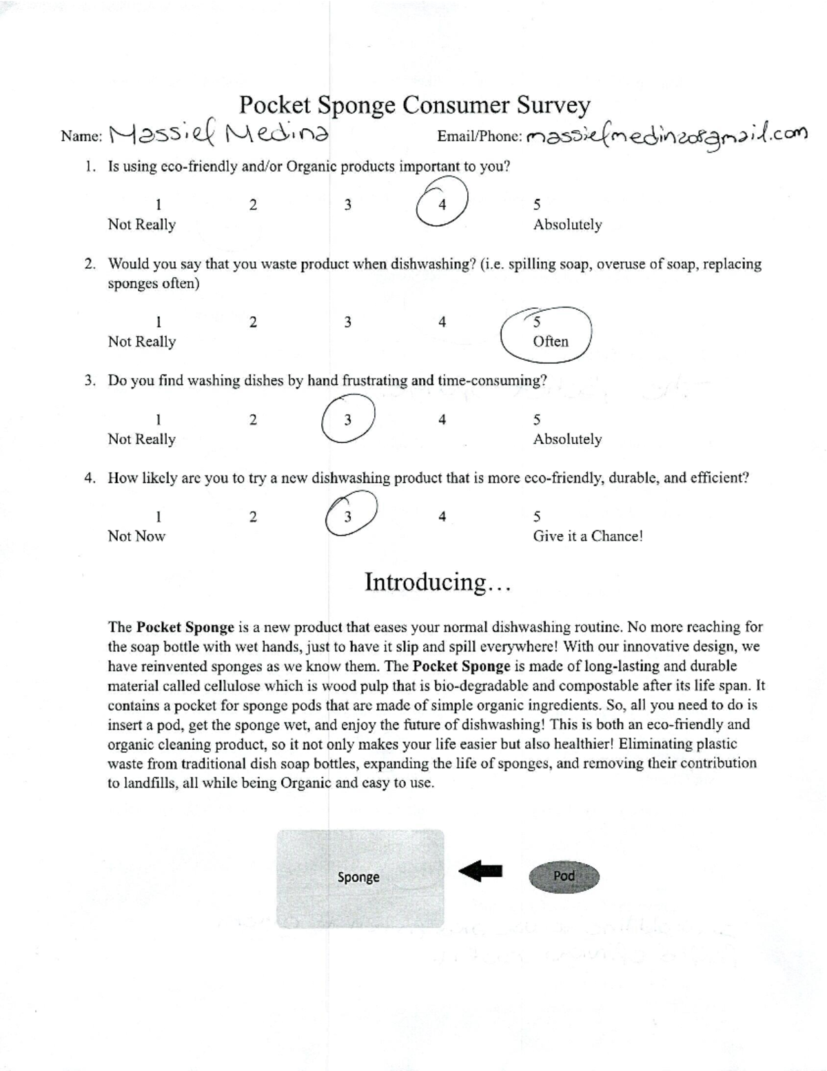 Pocket Sponge Consumer Survey completed - Pocket Sponge Consumer Survey ...