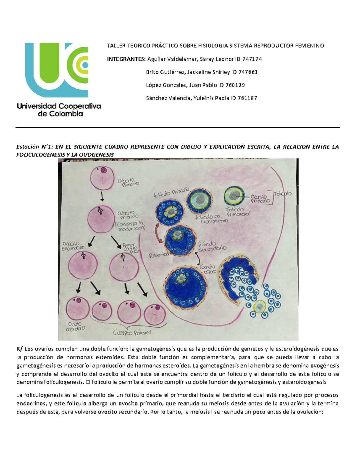 GUIA DE Sistema Reproductor Femenino y Masculino Virtual UCC - Warning: TT: undefined function ...