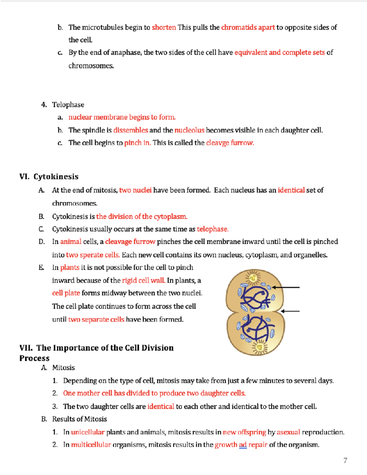 Cell Growth and Division - Studocu
