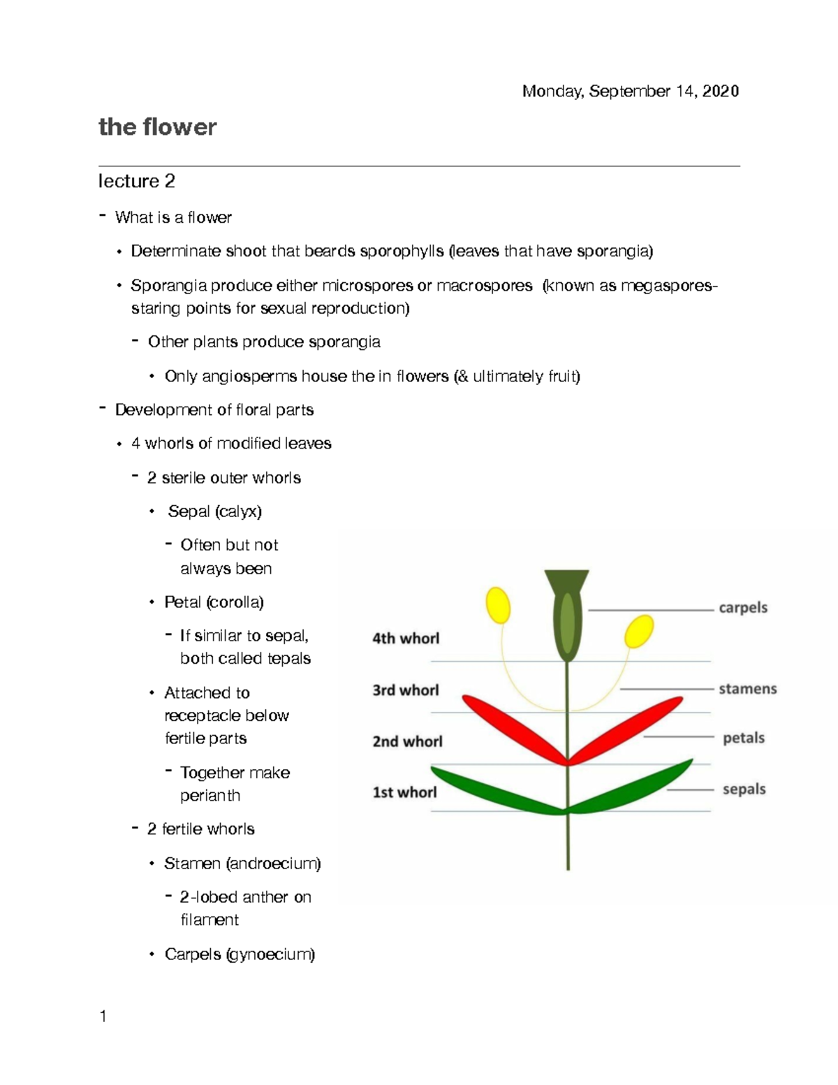 The flower - Monday, September 14, 2020 the flower lecture 2 - What is ...