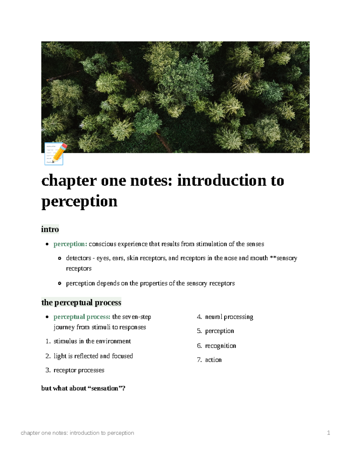 Ch 1 Book Notes - Intro to Perception - Ë chapter one notes ...
