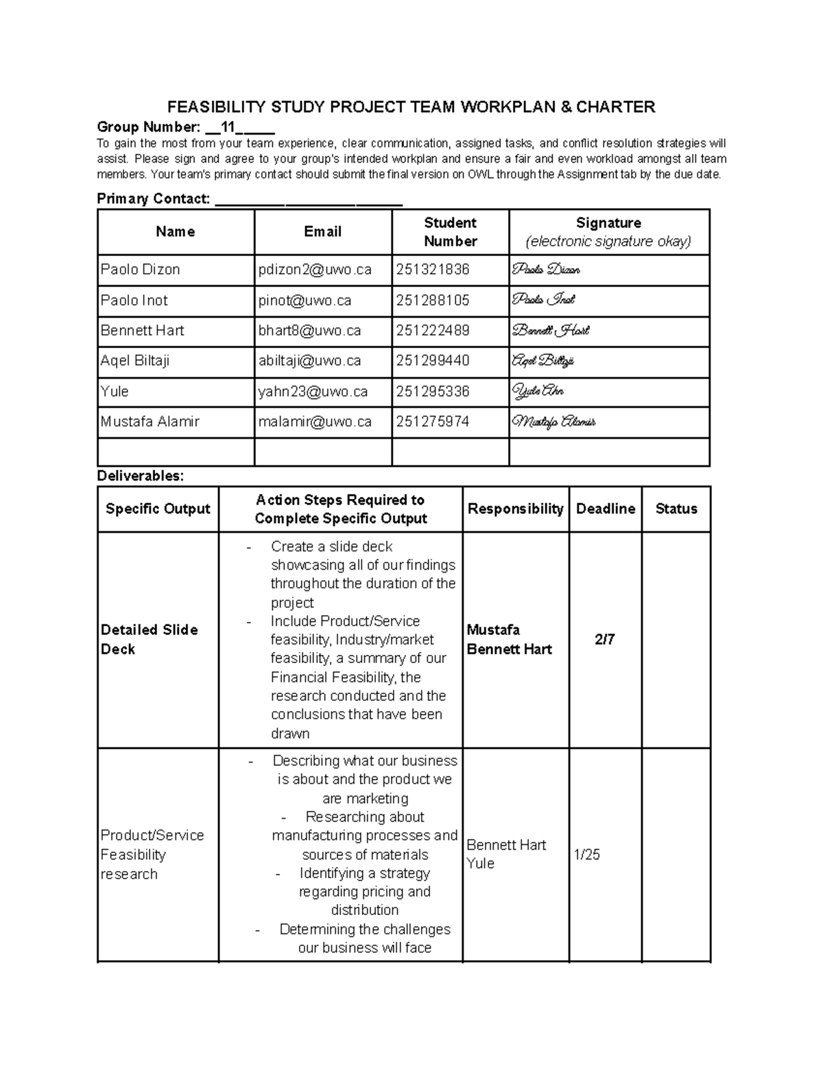 Feasibility Study Project TEAM Workplan & Charter - FEASIBILITY STUDY ...