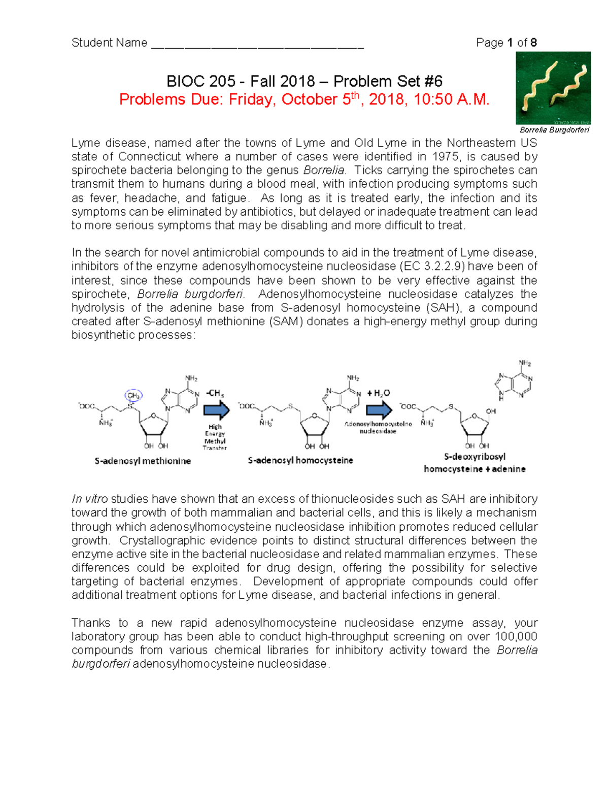 BIOC 205 - Fall 2018 - Problem Set #6 - Student Name Page 1 of 8 BIOC ...