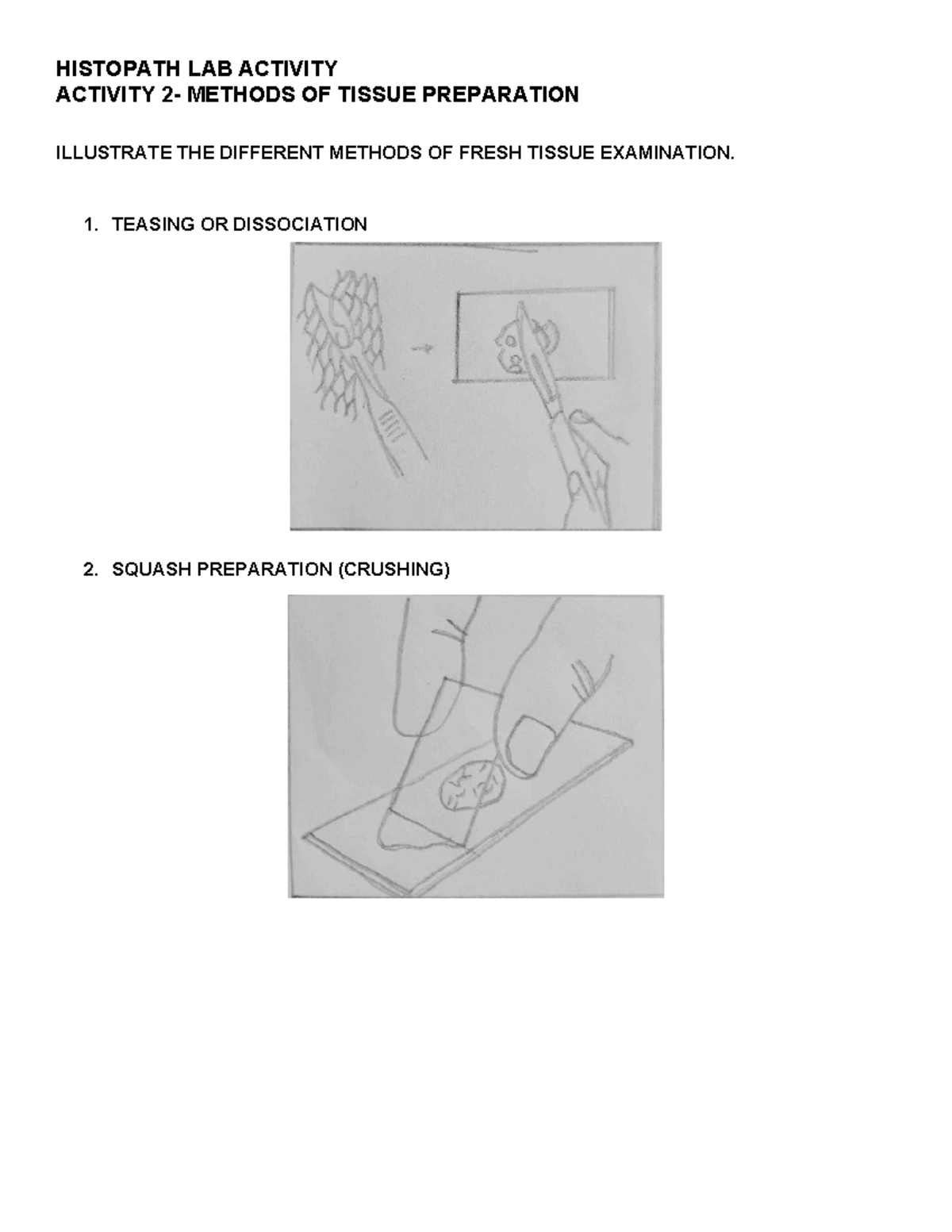 Histopath LAB Activity -2 - Histopathology - HISTOPATH LAB ACTIVITY ...
