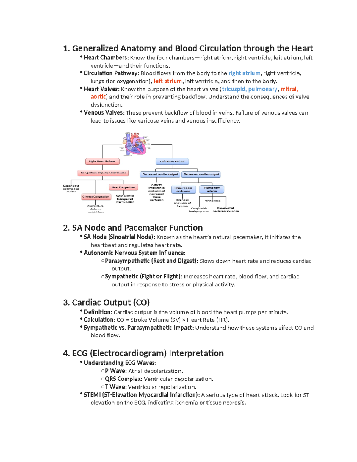 Study guide cardiac - week 1-4 - 1. Generalized Anatomy and Blood ...