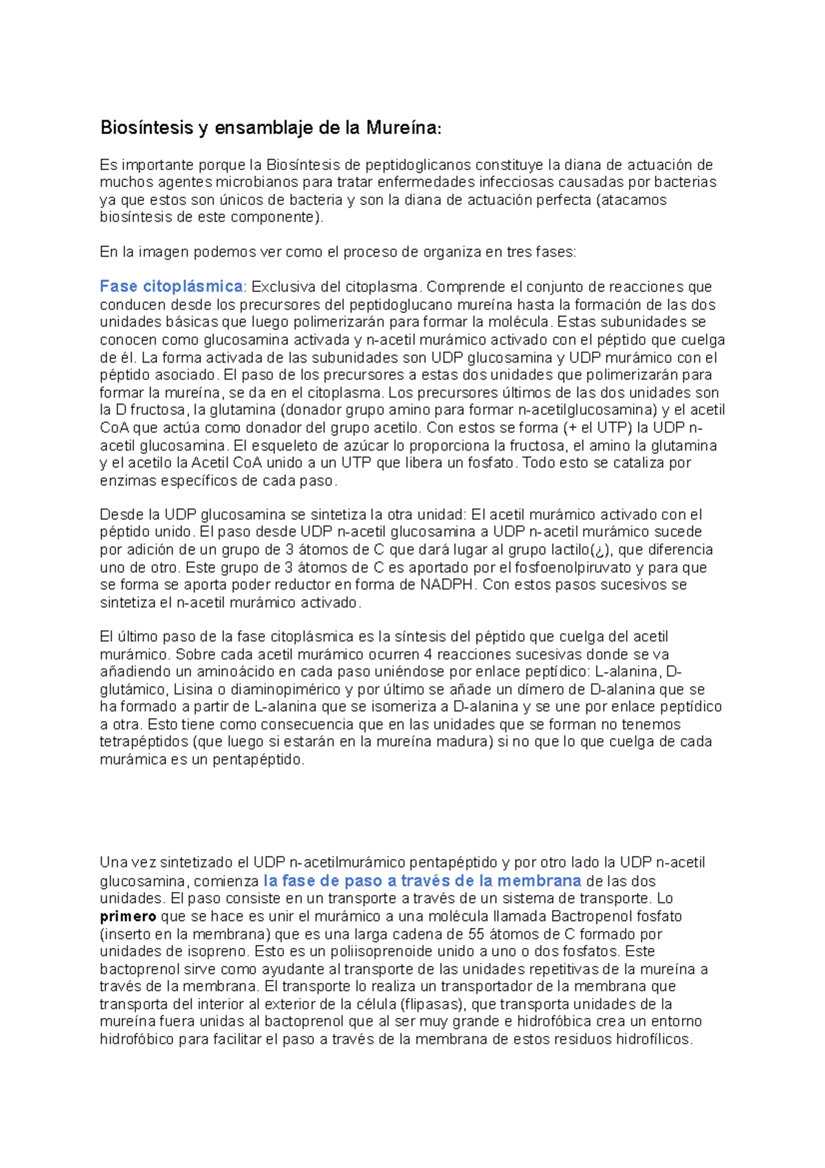 Biosíntesis y ensamblaje de la Mureína - Biosíntesis y ensamblaje de la ...