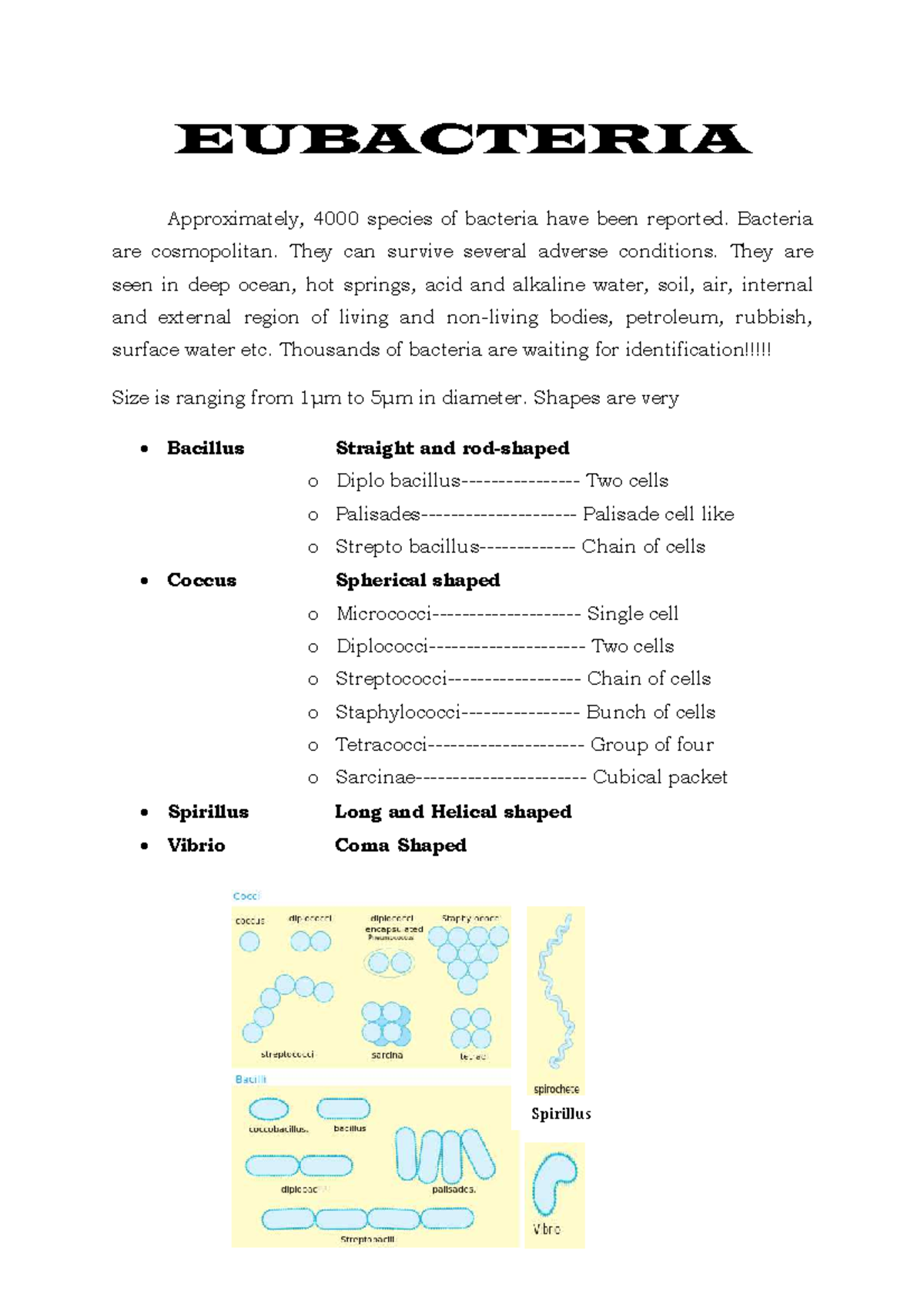 Bacteria - Simple notes - EUBACTERIA Approximately, 4000 species of ...