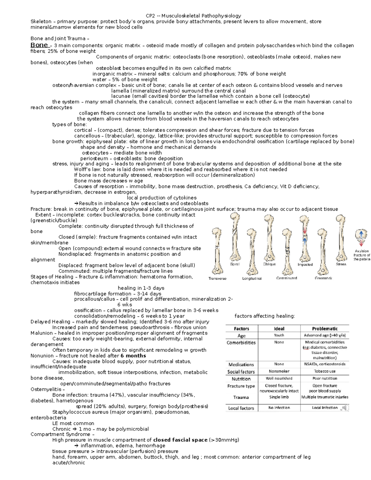 CP2- musculoskeletal - Allows ECF to leak into cell Calf hypertrophy ...