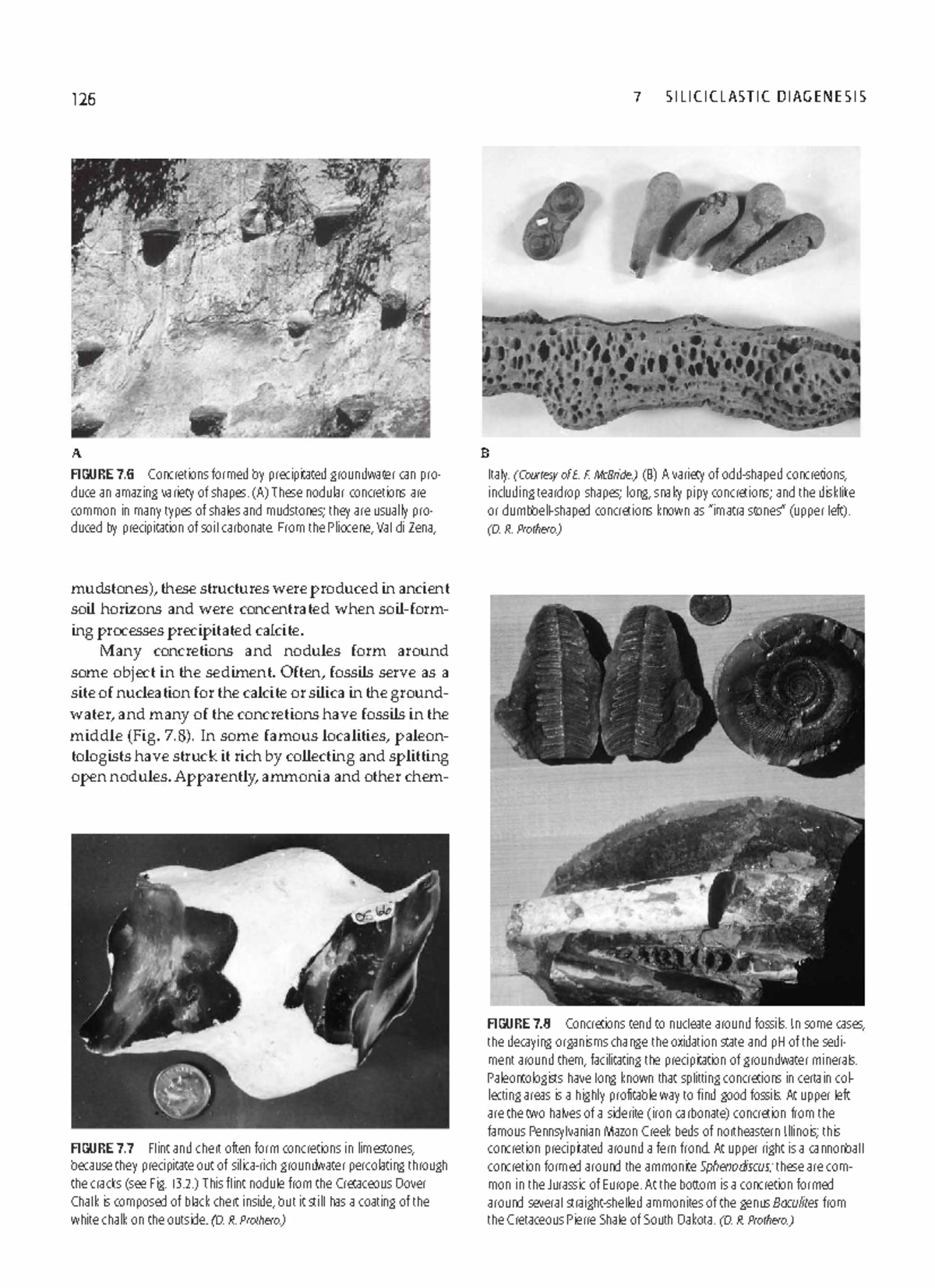 Sedimentary Geology ( PDFDrive )-16 - 126 ####### A FIGURE 7 ...