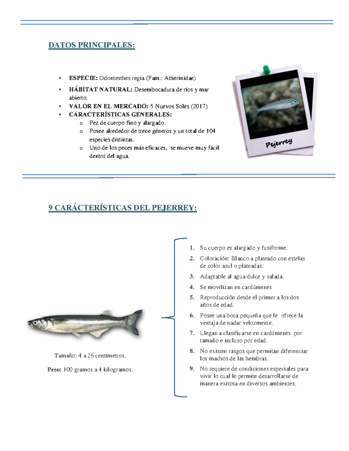 Pejerrey - Datos generales y Gráficos - DATOS PRINCIPALES: ESPECIE ...
