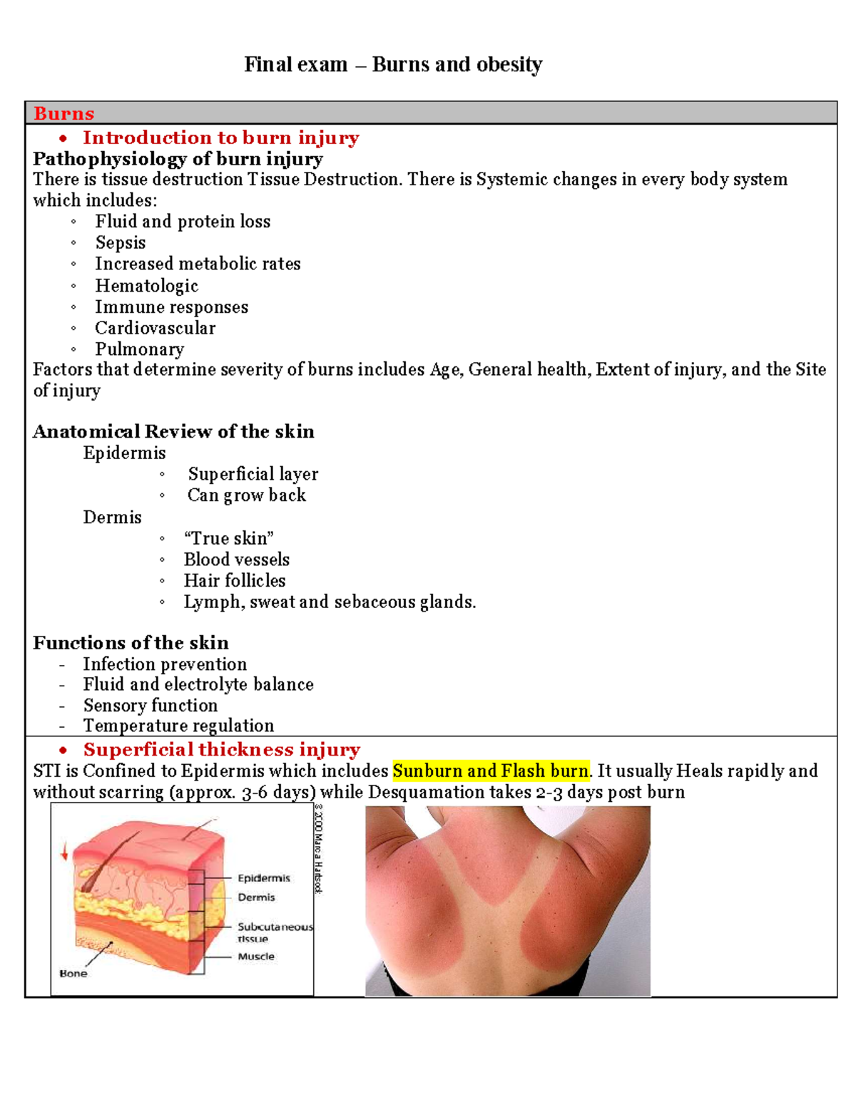 Final exam - Burns Introduction to burn injury Pathophysiology of burn ...
