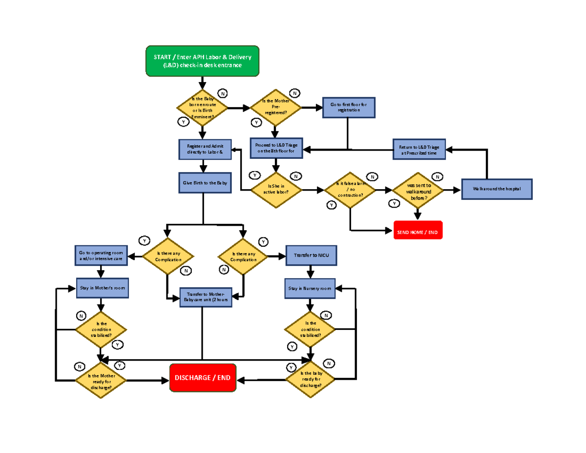 Arnold Palmer Hospital Birthing Patient Flowchart - Is the Baby born ...