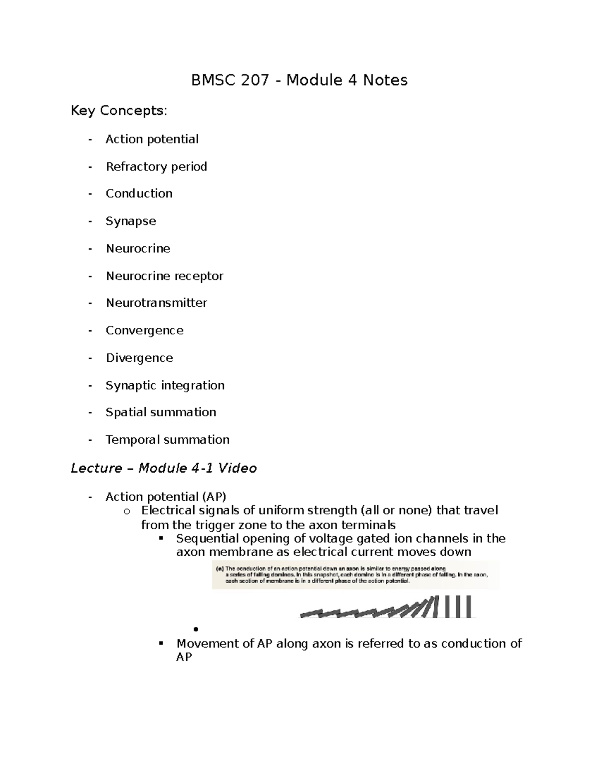 Module 4 - Notes - BMSC 207 - Module 4 Notes Key Concepts: Action ...