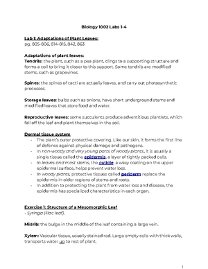 Biology Chapter 9 Test + Answer Key - Biology Chapter 9: Frontiers of ...