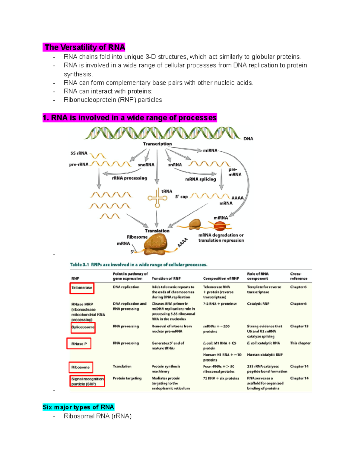Lec. 6 RNA Structure (Biol 107A) - The Versatility of RNA RNA chains ...