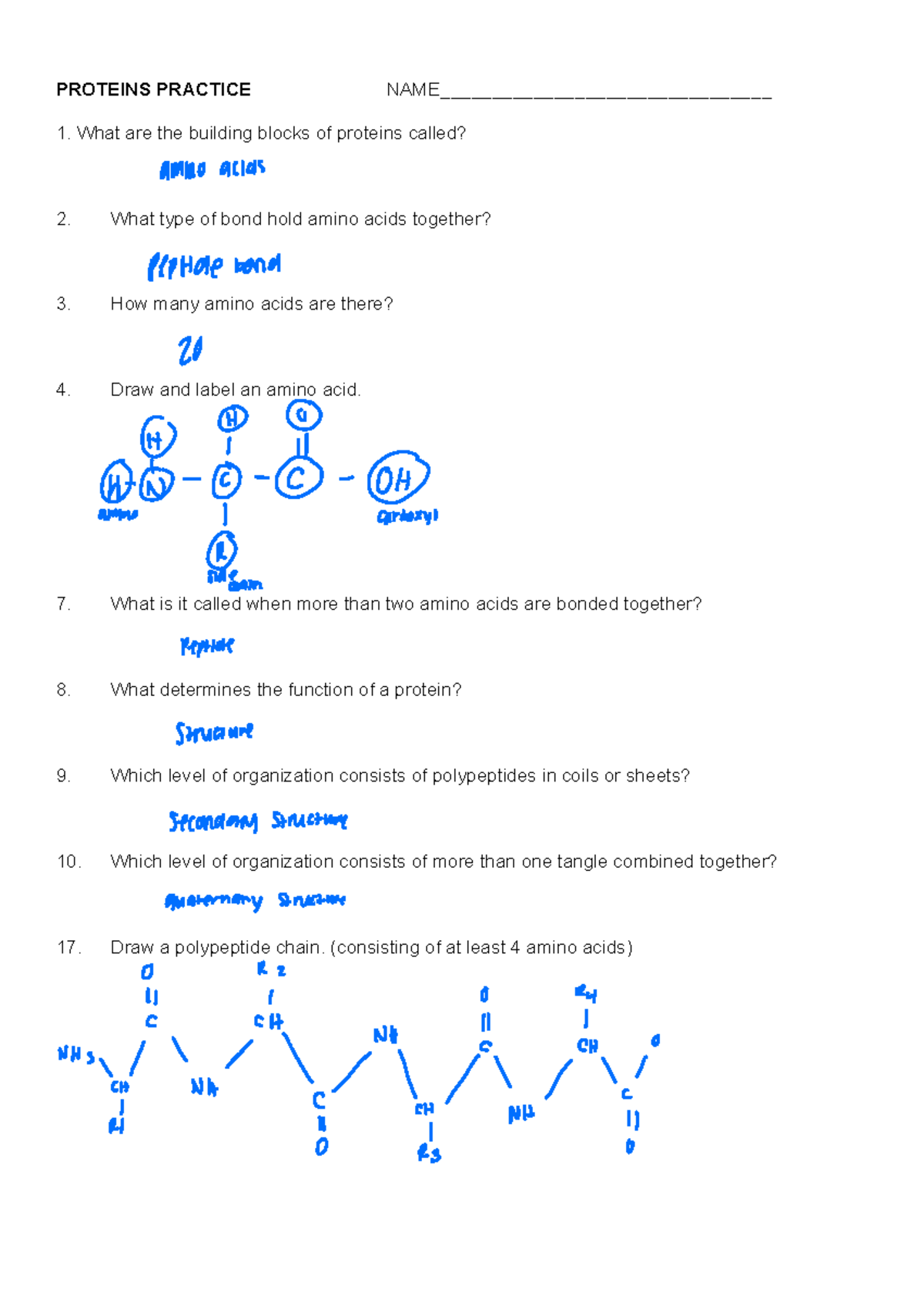 Download 7598787 - Biology notes - PROTEINS PRACTICE NAME