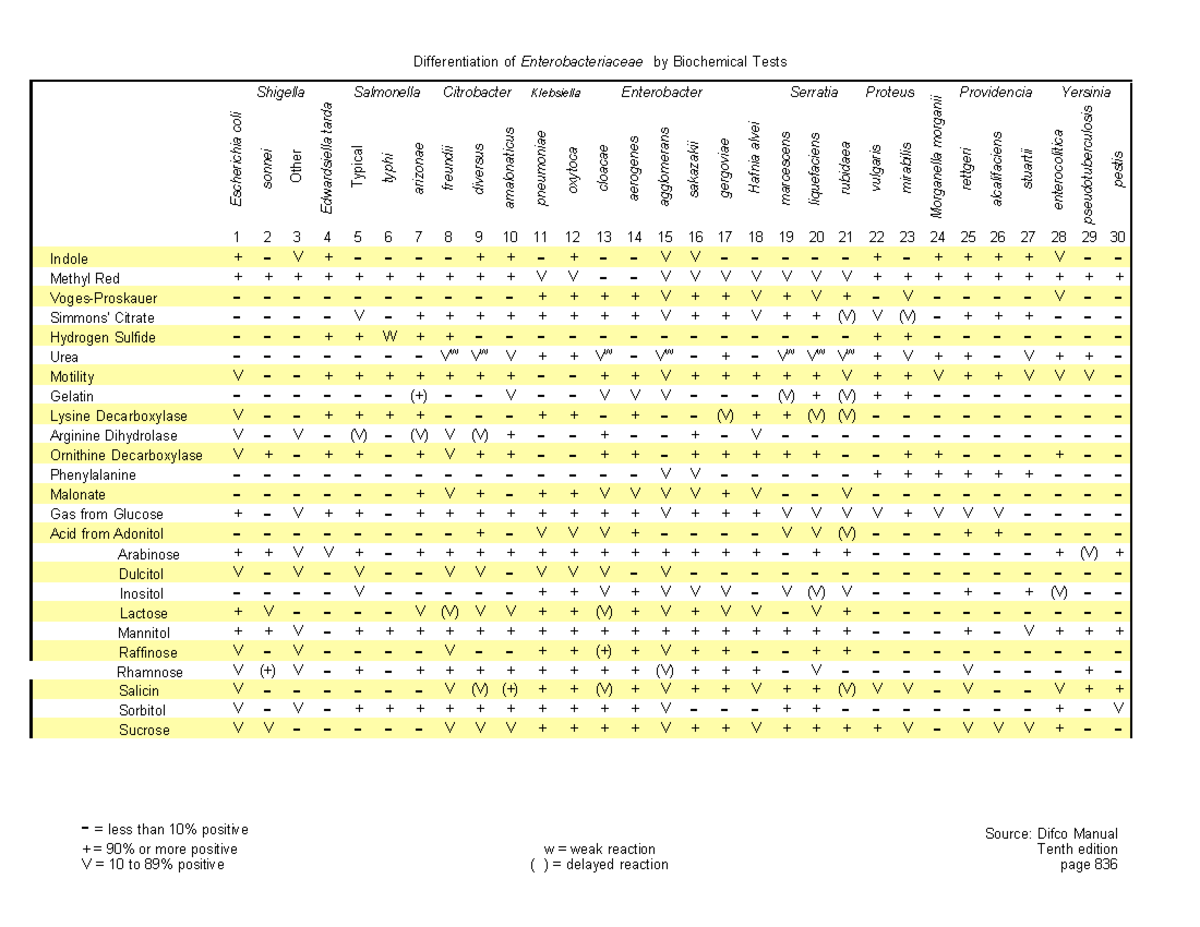 Enterobacteriaceae - this is the chart for being able to identify the ...