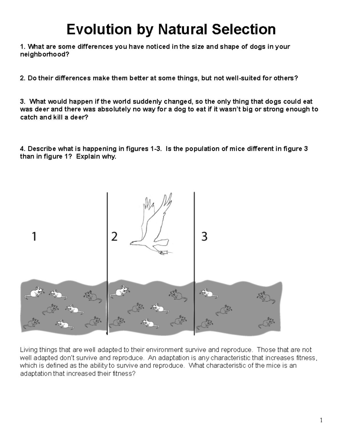 Annotated-Natural%20Selection%20Worksheet%20shared - Evolution by ...