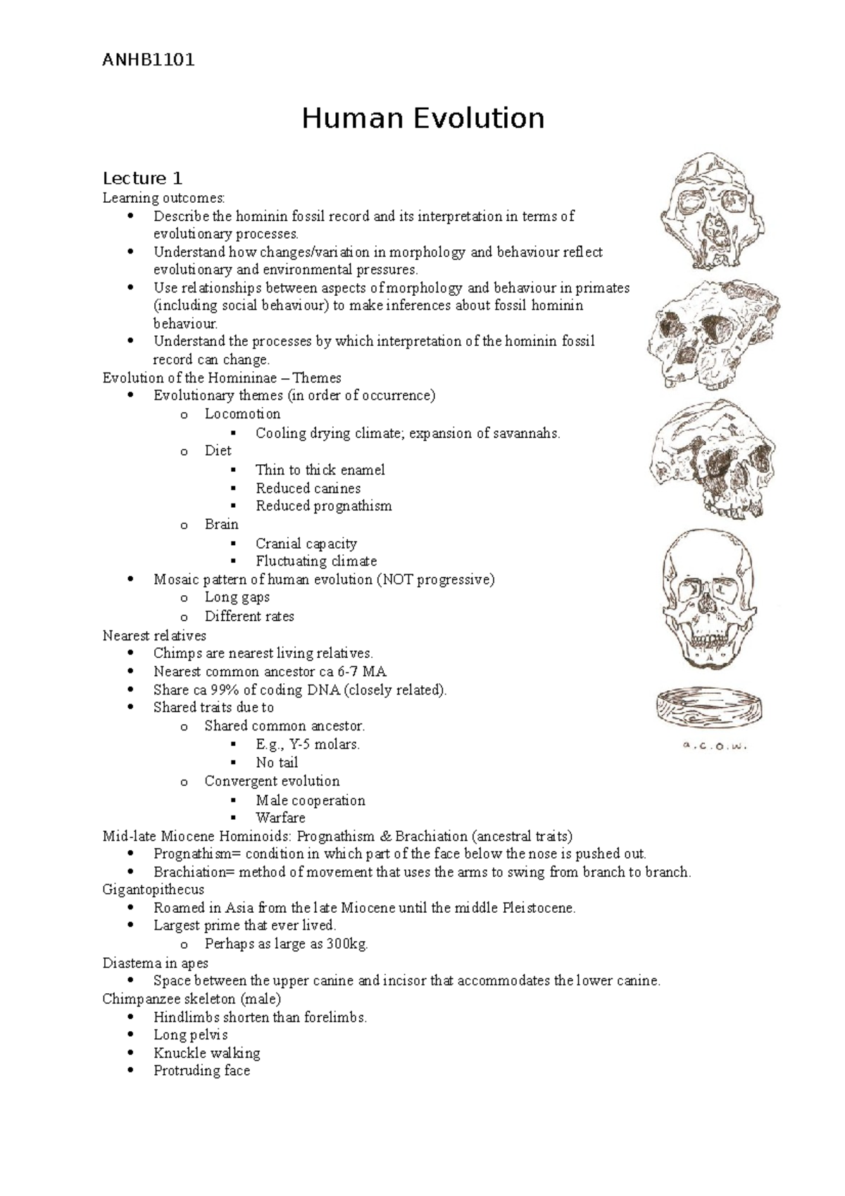 Human evolution lecture notes - Human Evolution Lecture 1 Learning ...
