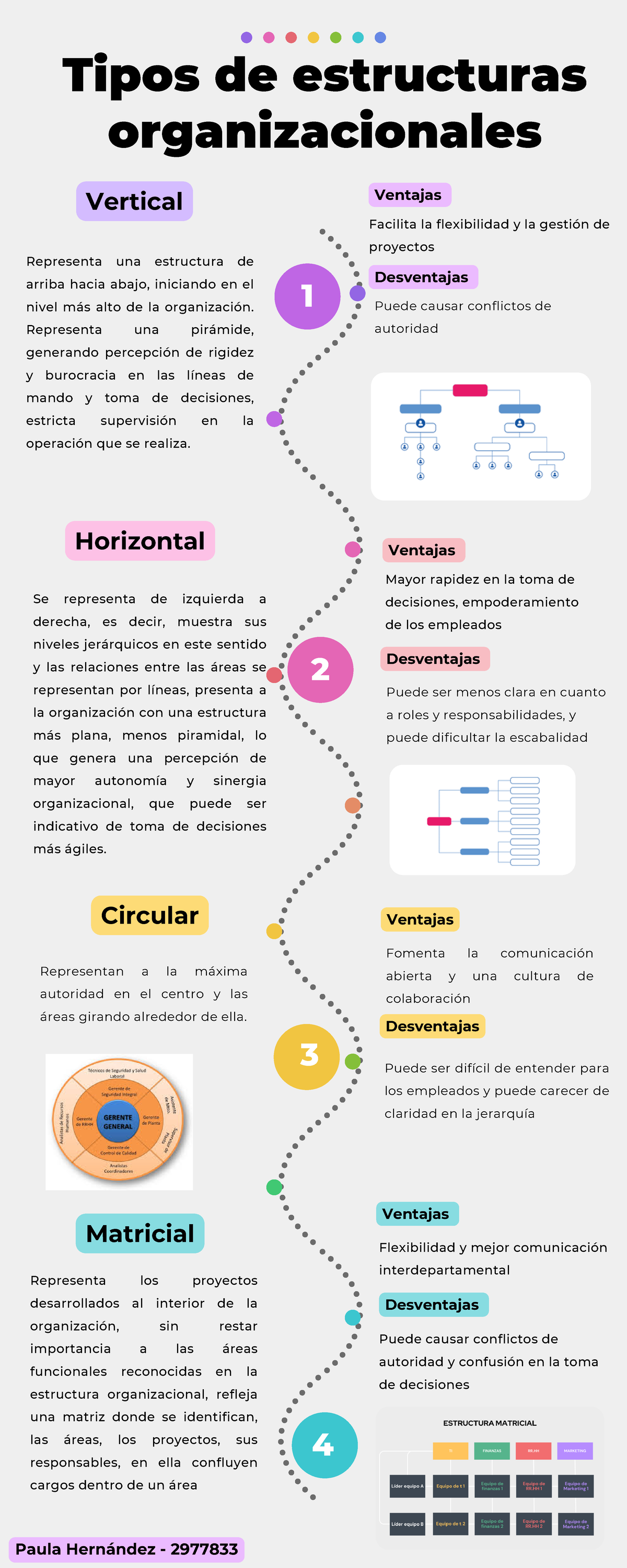 Infografia Tipos DE Estructuras Organizacionales - Representa una estructura de arriba hacia ...