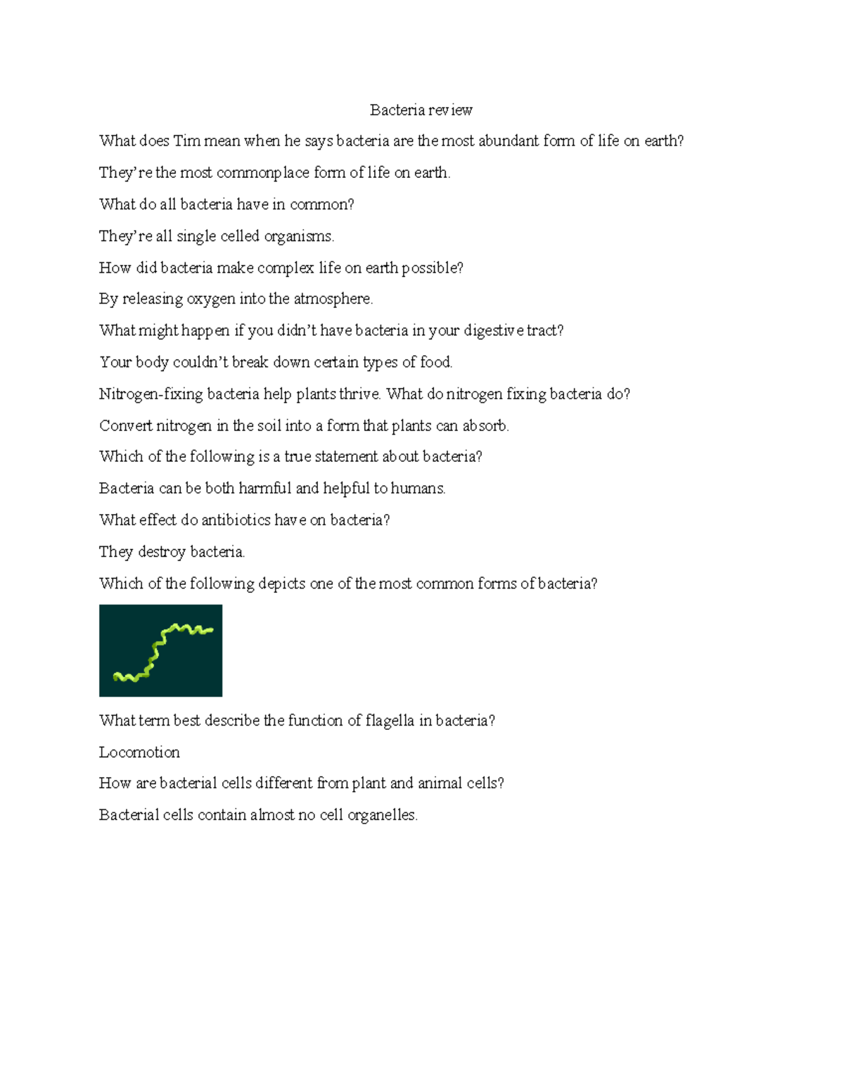 Bacteria review - Hello - Bacteria review What does Tim mean when he ...