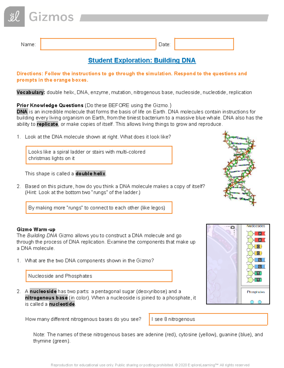 Building DNA Intro - Name: Date: Student Exploration: Building DNA ...