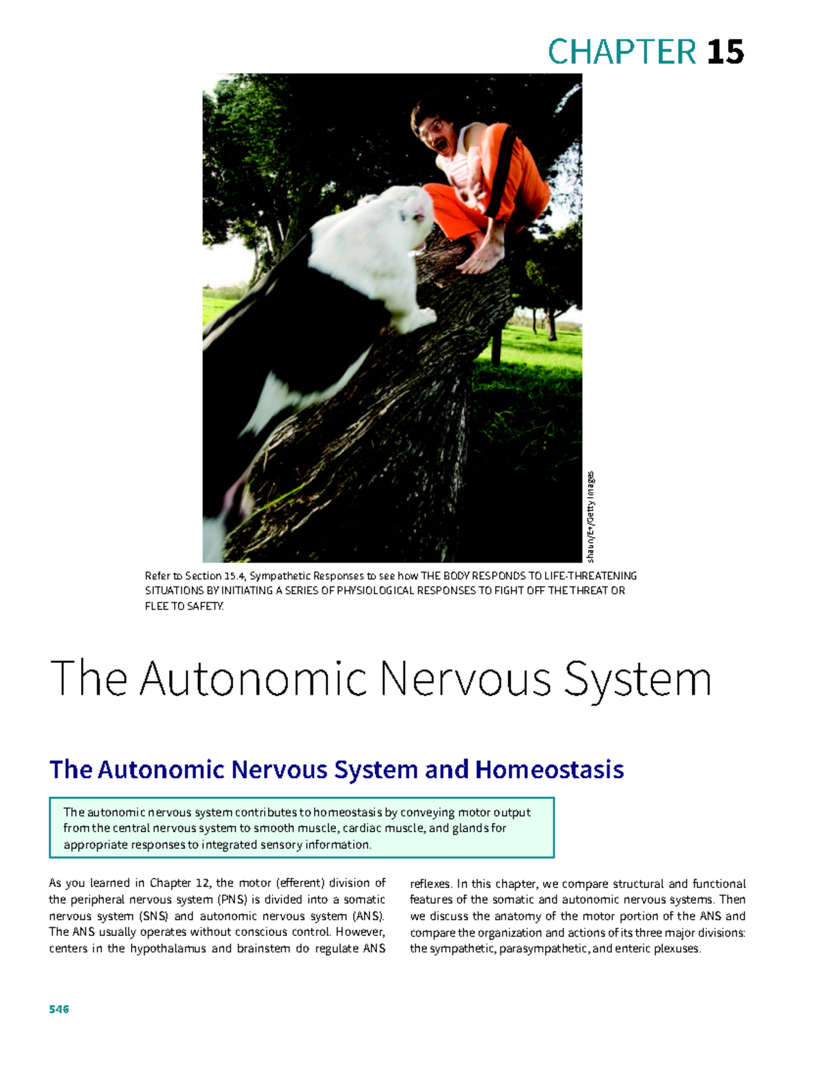 Chapter 15 - Anatomy - 546 CHAPTER 15 The Autonomic Nervous System The ...