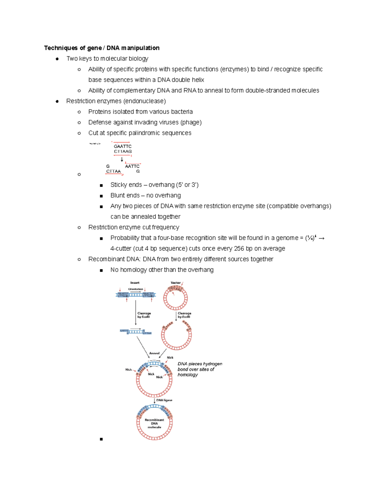 BIOL 221 Lecture Notes 3 - Techniques of gene / DNA manipulation Two ...