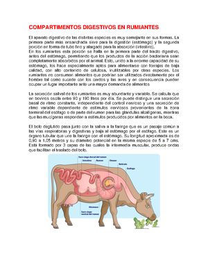 Manual DE Cunicultura- TONY ROCA - Manual de Cunicultura Hoffmann Toni ...