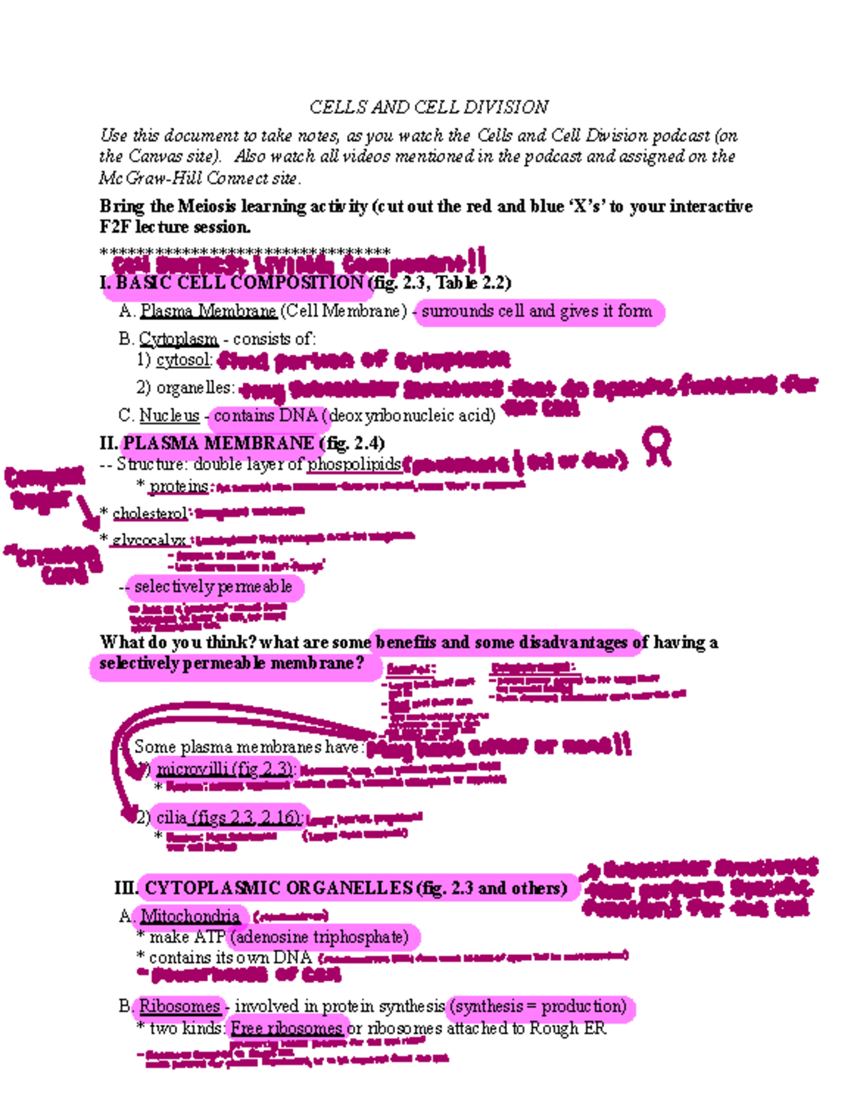 Cell Division - annotated lecture notes - CELLS AND CELL DIVISION Use ...
