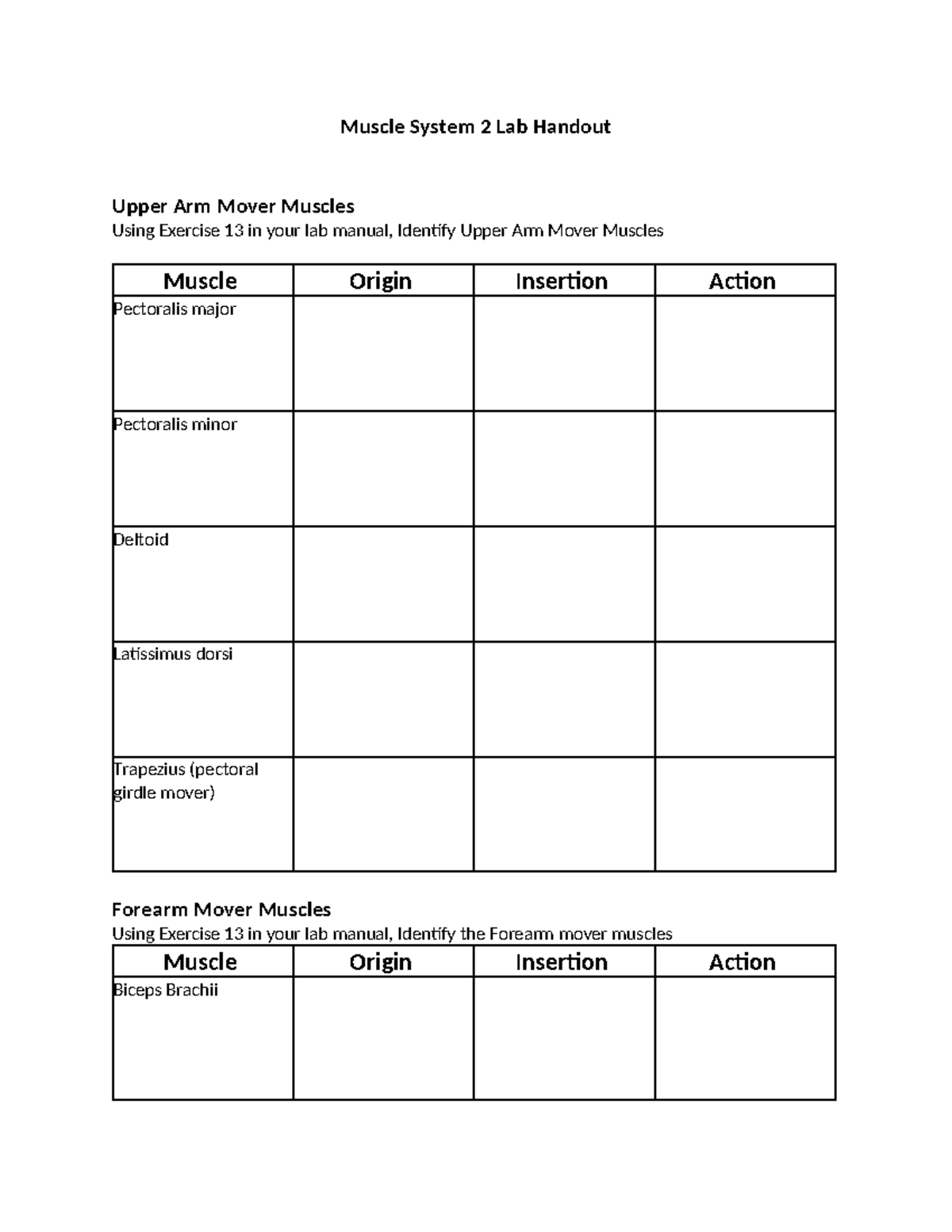 Muscle System 2 Lab Handout DL - Muscle System 2 Lab Handout Upper Arm ...