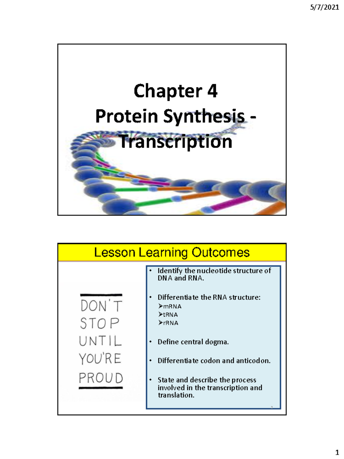 chapter 4 cell division - Chapter 4 Protein Synthesis - Transcription • Identify the nucleotide ...