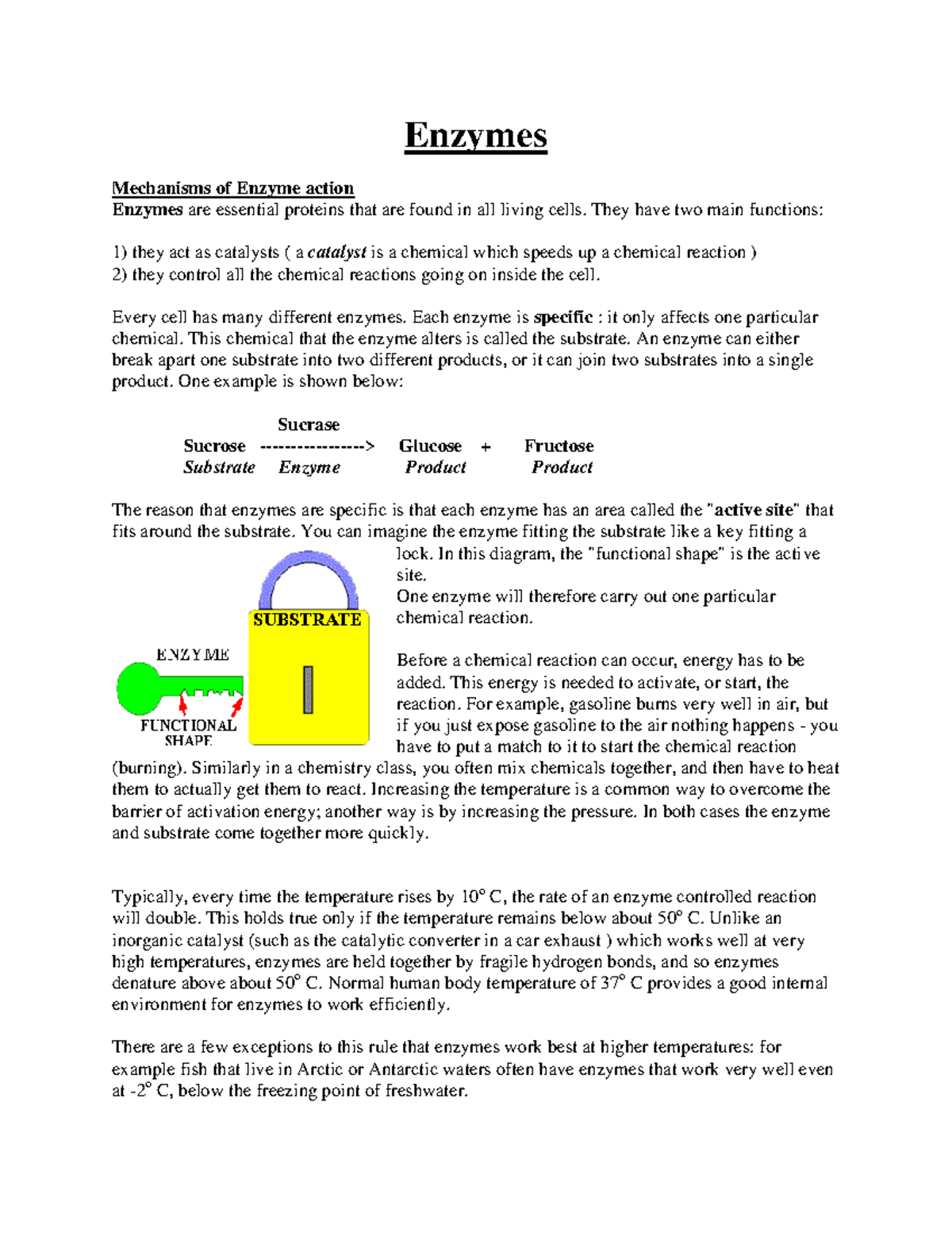 Enzyme - notes - Enzymes Mechanisms of Enzyme action Enzymes are ...